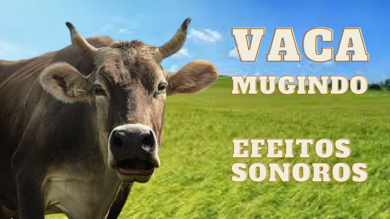 Vaca Mugindo Som da Vaca Efeitos Sonoros - YouTube