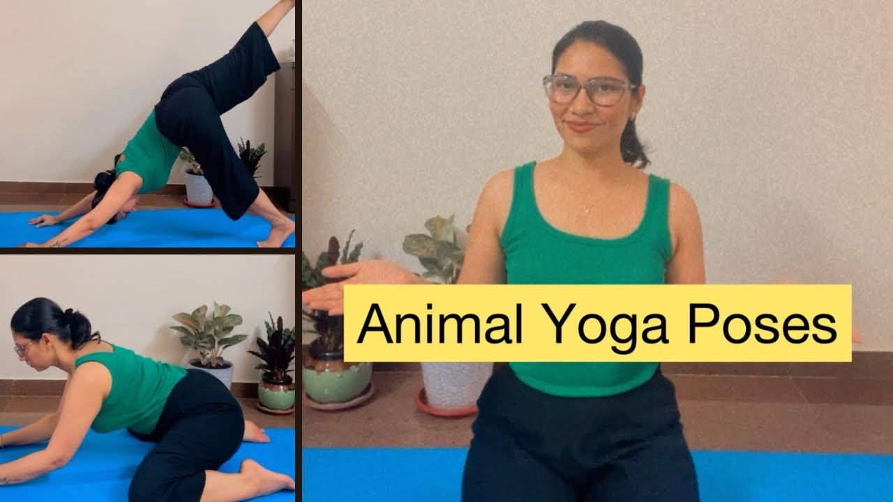 Yoga Asana challenge/Beginner guide to practice Animal Yoga Asana - YouTube