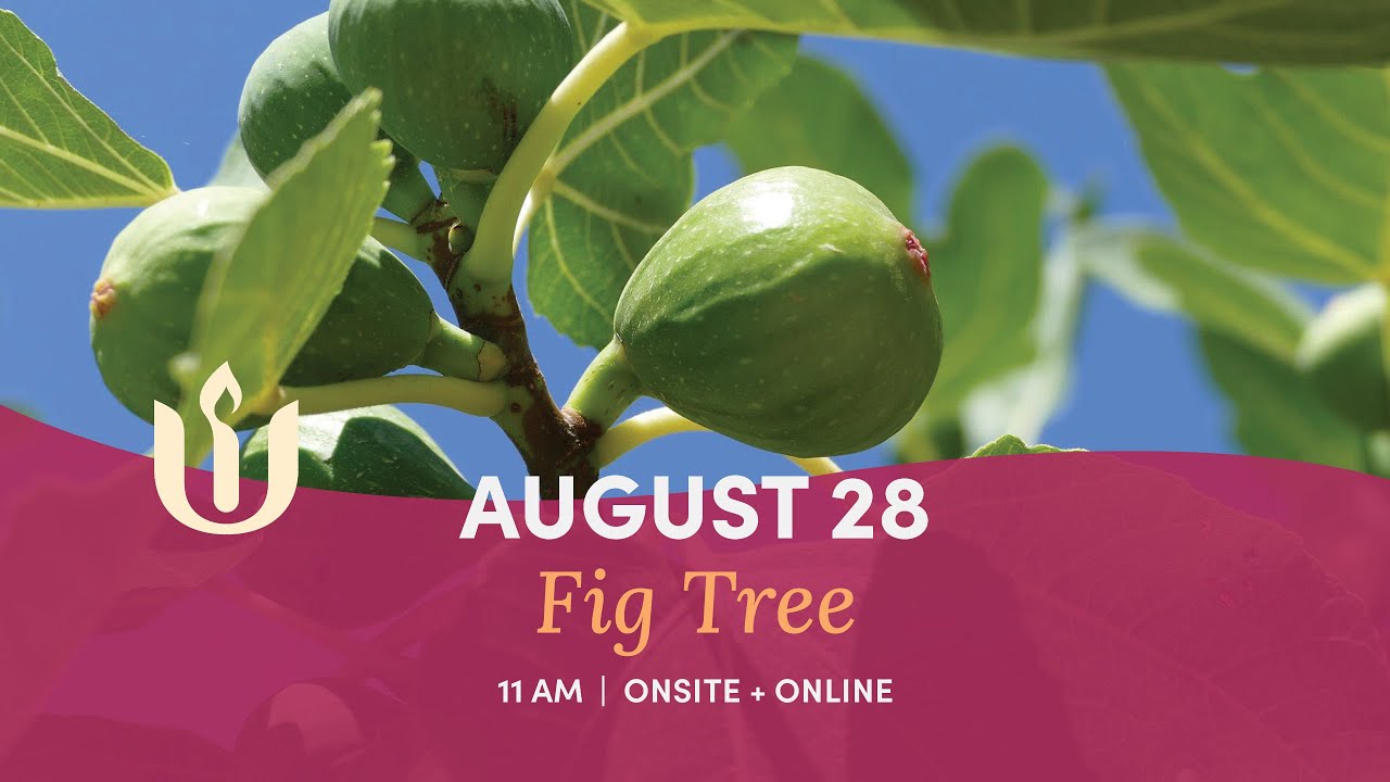 Sunday Worship Service - Fig Tree, led by Rev. Jaye Brooks - YouTube