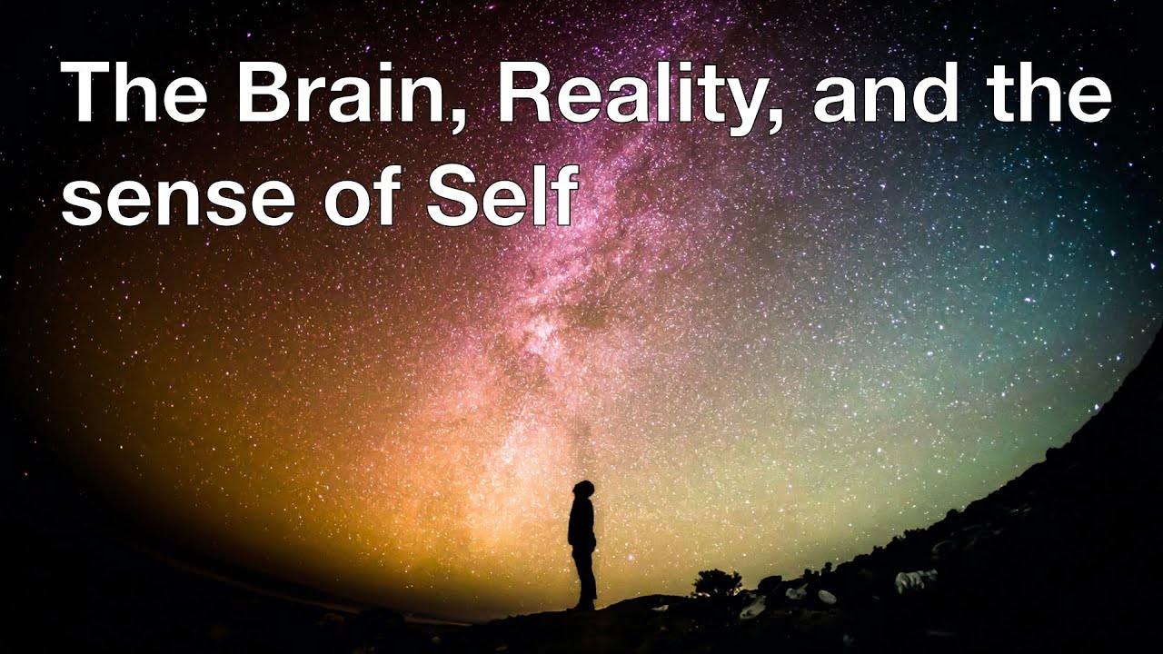 The Brain, Reality and the Sense of Self - YouTube