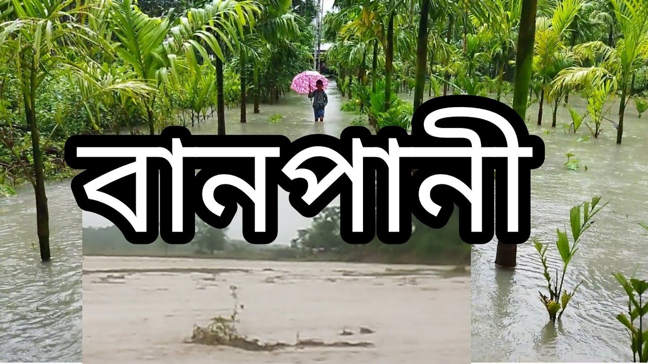 Tamam banpani!! village flood in baksa Assam!!assam flood!! - YouTube