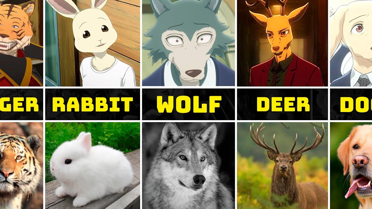 Beastars Animals In Real Life - YouTube