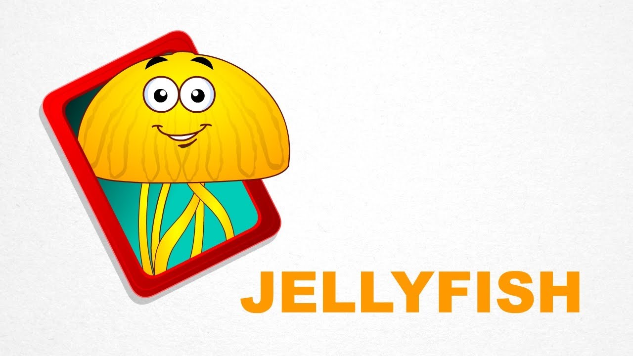 Jelly Fish - Sea Animals - Pre School - Learn Spelling Videos For Kids ...