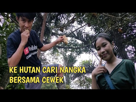 cari nangka di hutan sama cewek ini yang terjadi #caikadofficial # ...