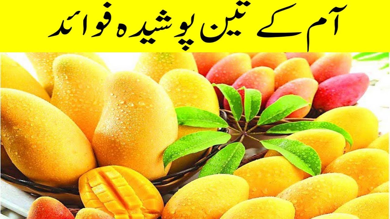 Three hidden secrets of the mango - YouTube