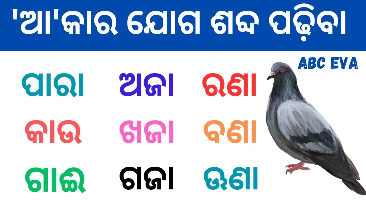 'ଆ' କାର ଯୋଗ | aa kara joga | odia barnamala | matra shikhya | odia ...