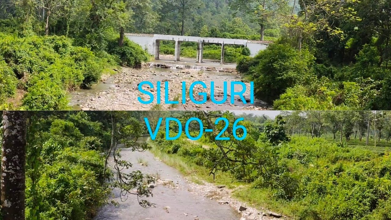 siliguri की प्राकृतिक सुंदरता||siliguri's river, valley,tea garden ...