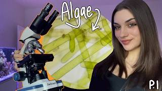 Putting Reef Tank Things under the Microscope | Algae, Cells, Cyanobacteria