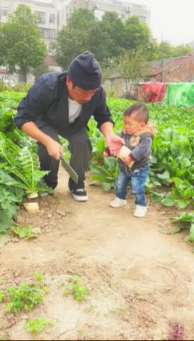 Radish Heist Duo: Dad and Baby's Hilarious Farm Adventure! #comedy ...