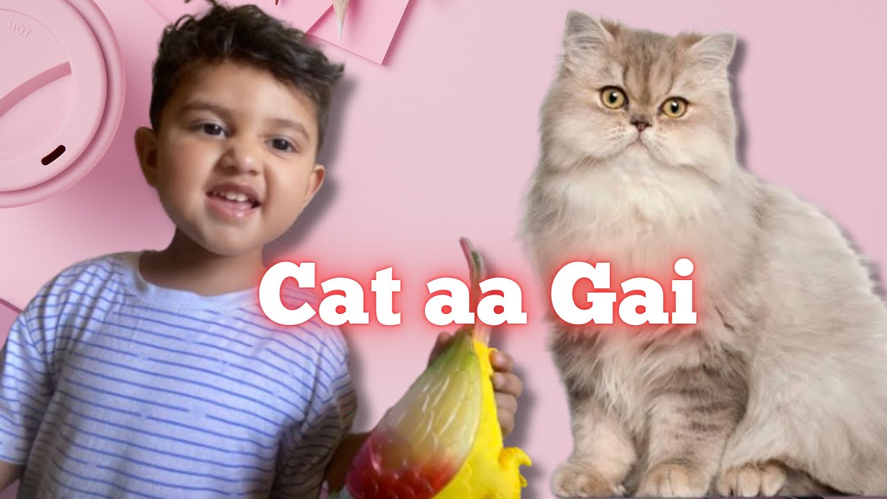 Finally Cat aa gai | Tired 😴 at the end of the day 😮‍💨🥱 - YouTube