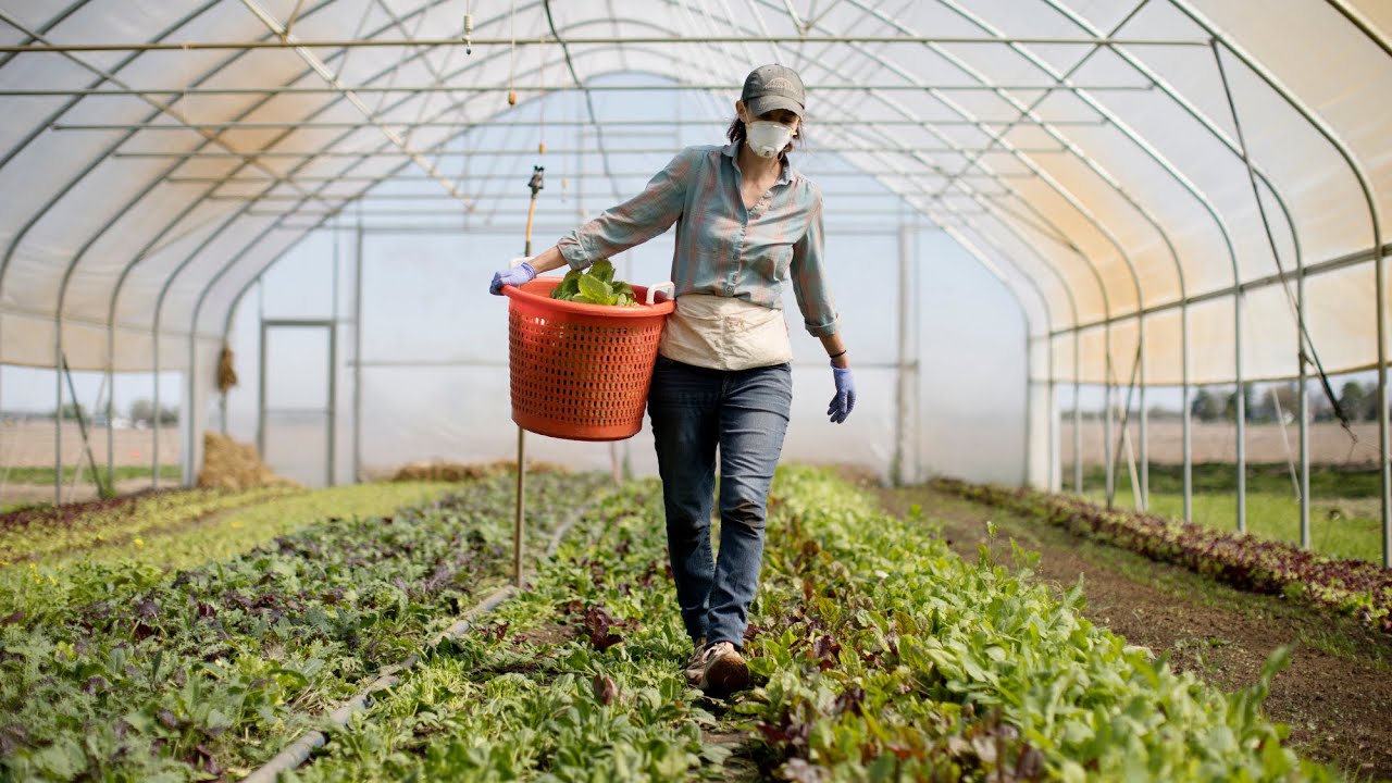 Small Ohio farms face challenges, opportunities amid coronavirus ...