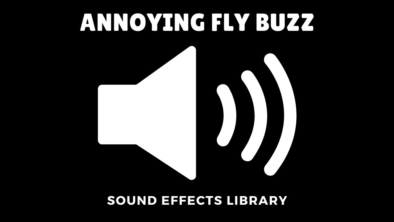 Annoying Fly Buzz Sound Effect [Download Link] - YouTube