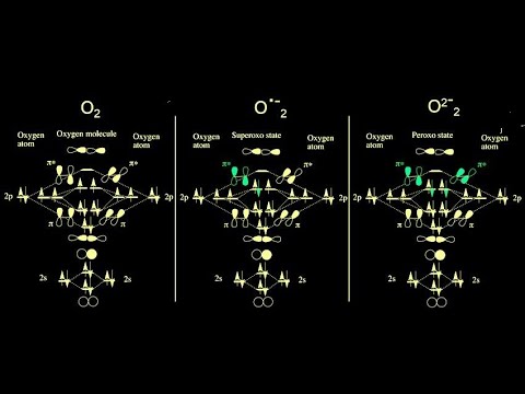 Energy level diagram of homo-nuclear diatomic molecules[oxygen-O2 ...