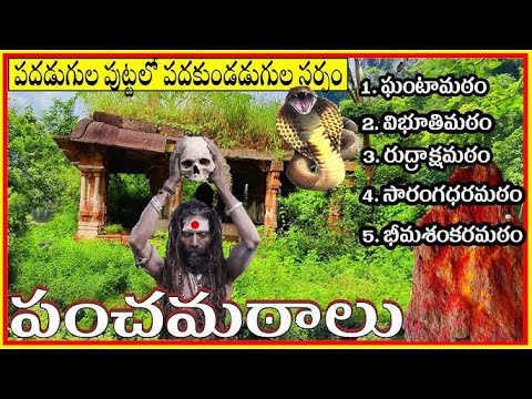 Mysterious Ghanta Matam || Panchamathams In Srisailam || ఘంటామఠం ...