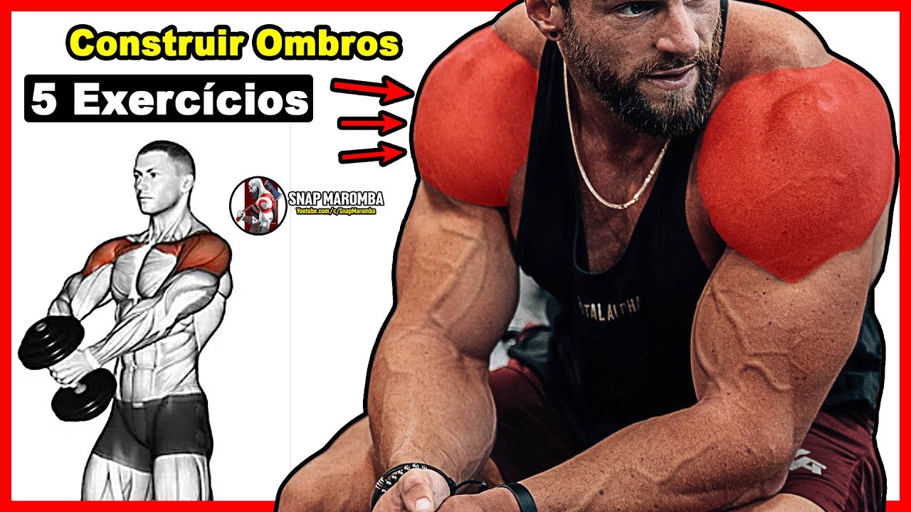 Construindo OMBROS 5 Exercícios Treino COMPLETO - YouTube