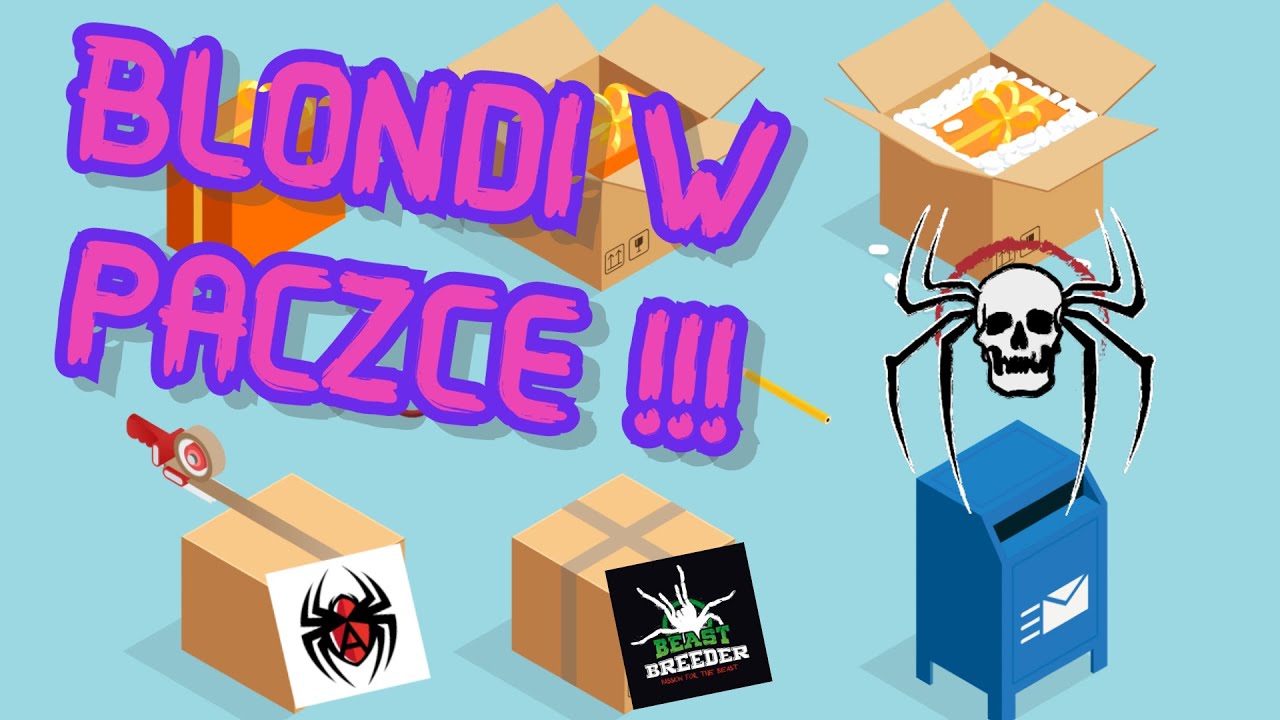 Teraphosa Blondi w paczce? Paczka od Beast Breeder i Arent Hodowla ...