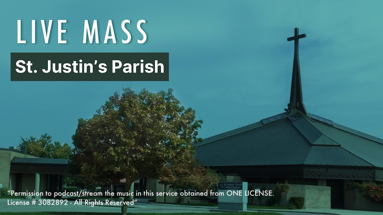 XI Sunday in Ordinary Time - - YouTube