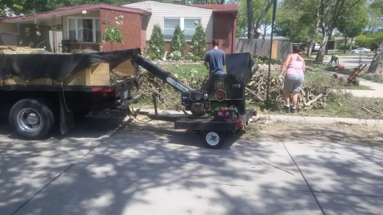 Promark 210 chipper with a harbor fright 420 cc motor - YouTube