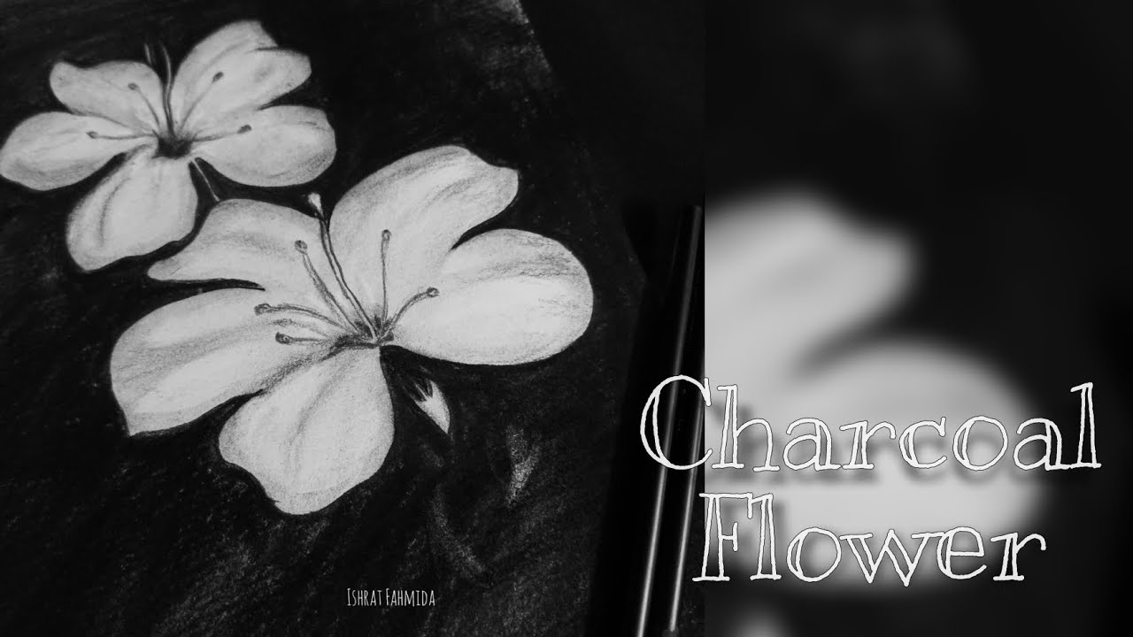 How to draw flowers using charcoal pencil | Charcoal pencil drawing ...