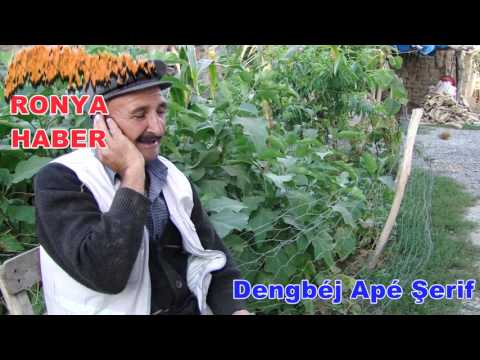 dengbéj kısa