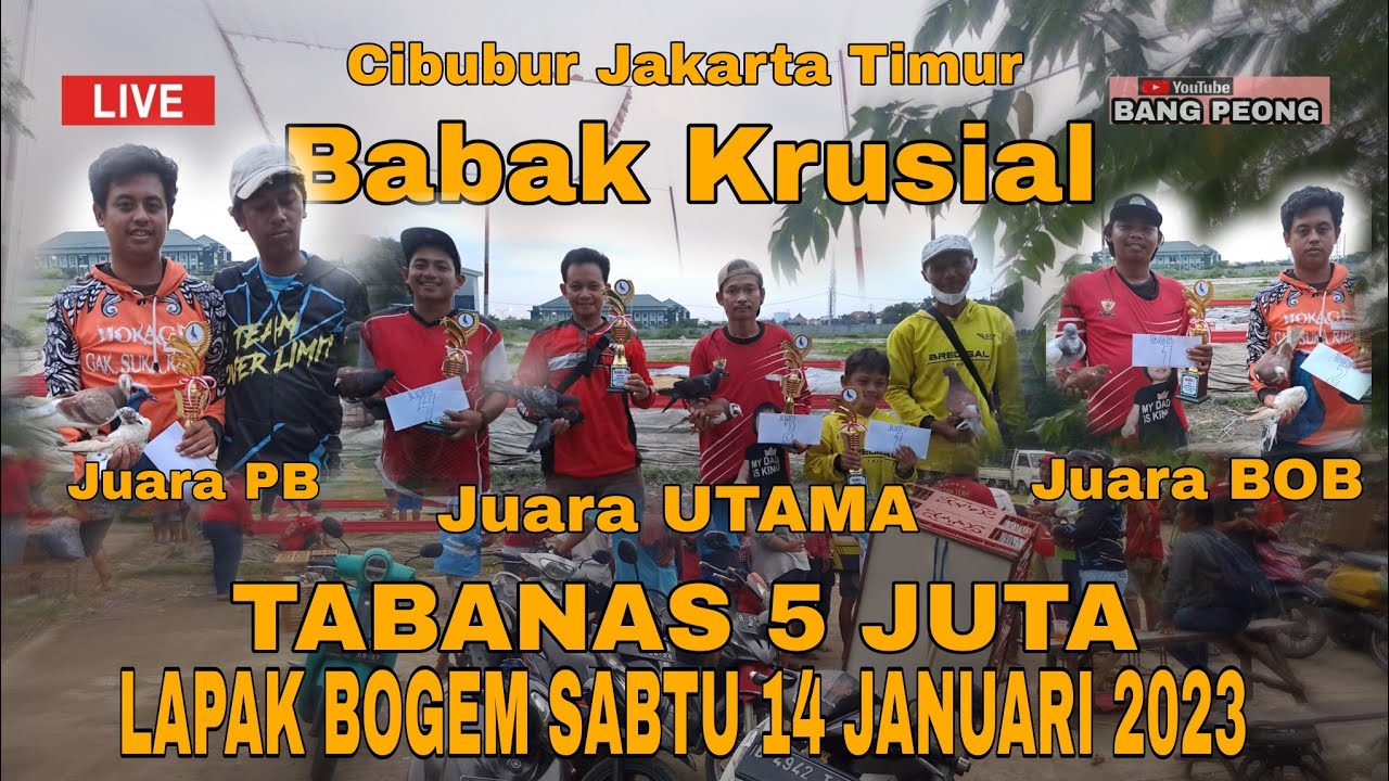 LIVE 🤩 BABAK KRUSIAL TABANAS 5 JUTA LAPAK BOGEM SABTU 14 JANUARI 2023 ...