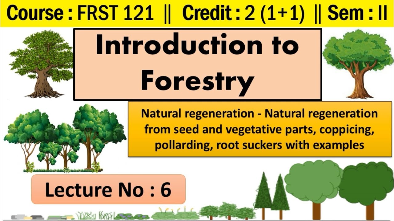 B.Sc.Agri 🌸 L - 6🌸FRST 121🌸 Natural Regeneration: from seed and ...