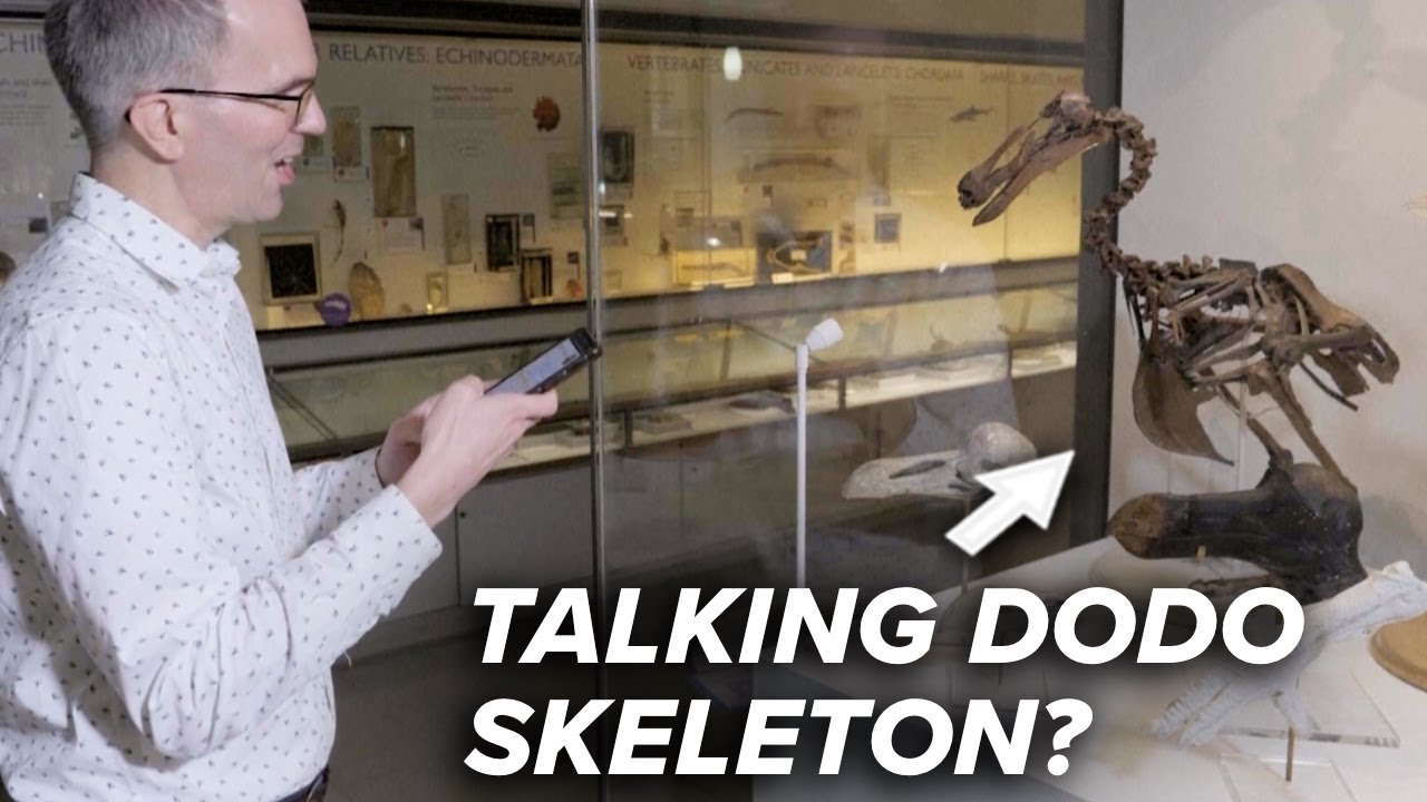 🦤 "Talking" dodo bird brings extinct species to life through AI - YouTube