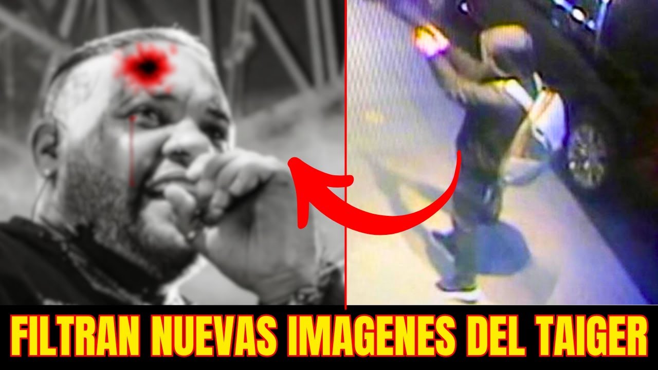 ¡URGENTE! FILTRAN NUEVAS IMAGENES DEL CUERPO DEL TAIGER SIN VIDA ...