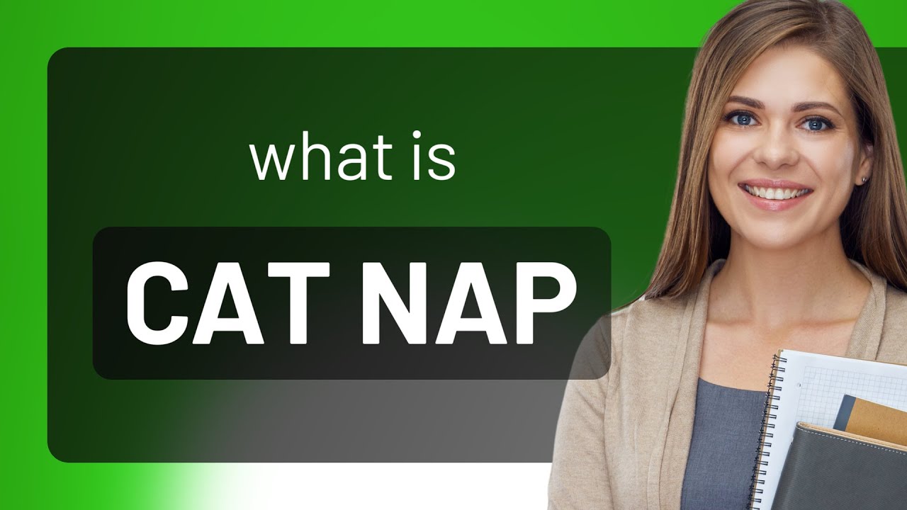 "Cat Nap": Unraveling the Feline Siesta! - YouTube