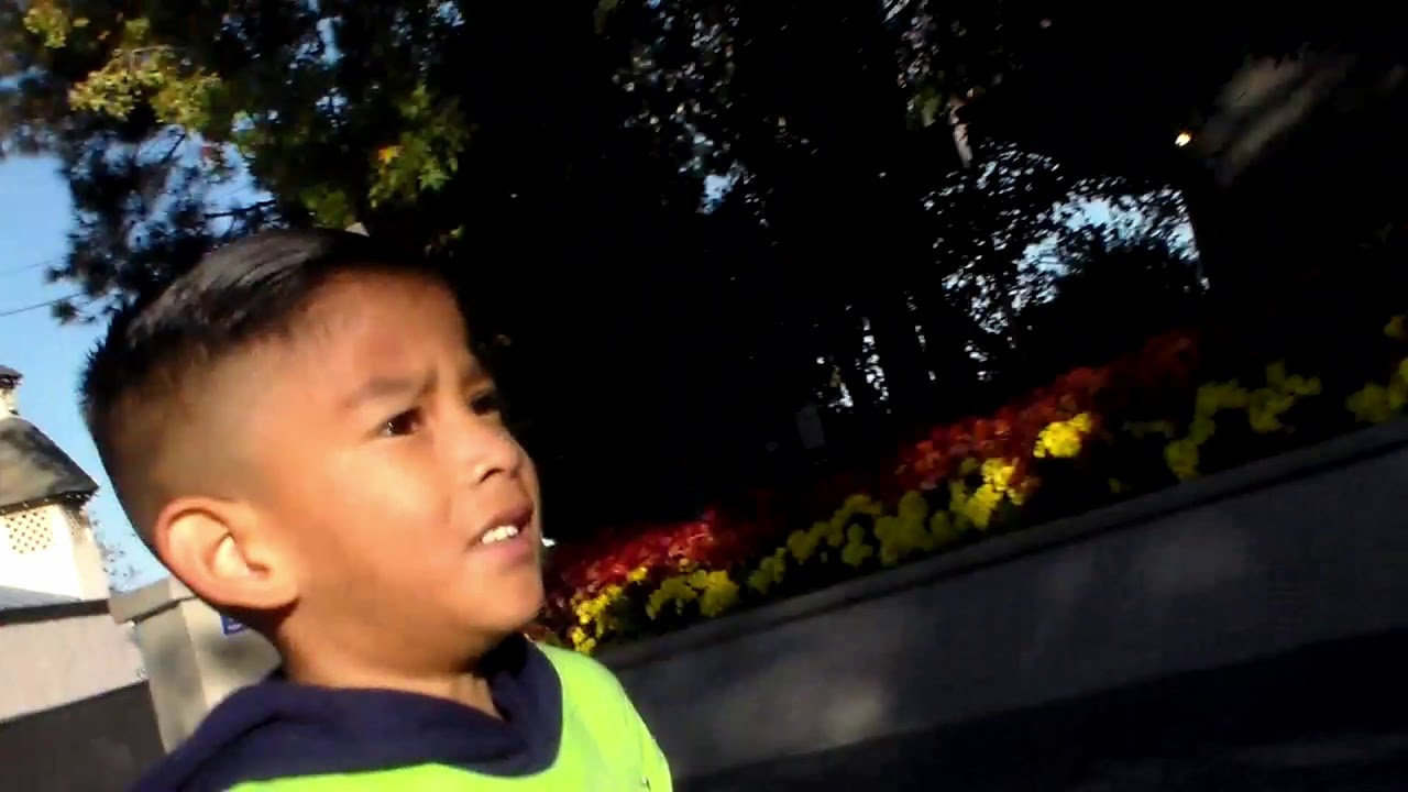 Aiden running universal studios Hollywood raptor run 2019 - YouTube