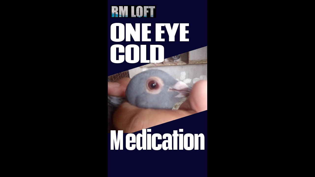 ONE EYE COLD AND ITS TREATMENT #shorts - YouTube
