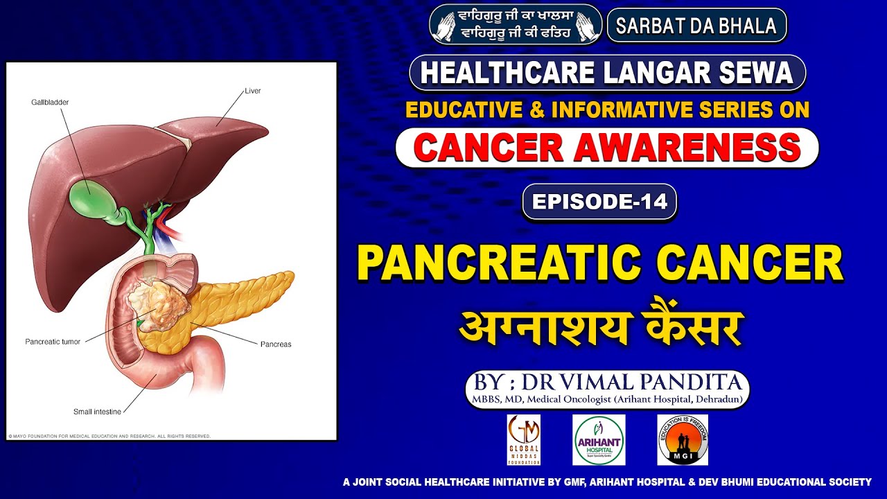 Basic Information on Hepatobiliary Pancreatic Cancer by Dr. Vimal ...