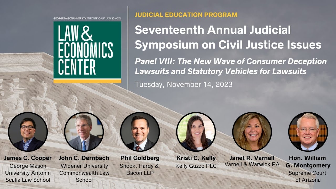 The New Wave of Consumer Deception Lawsuits and Statutory Vehicles for ...