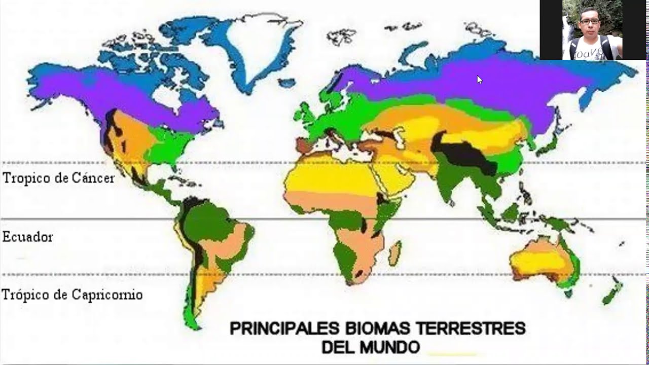 BIOMAS DEL MUNDO 2 - YouTube