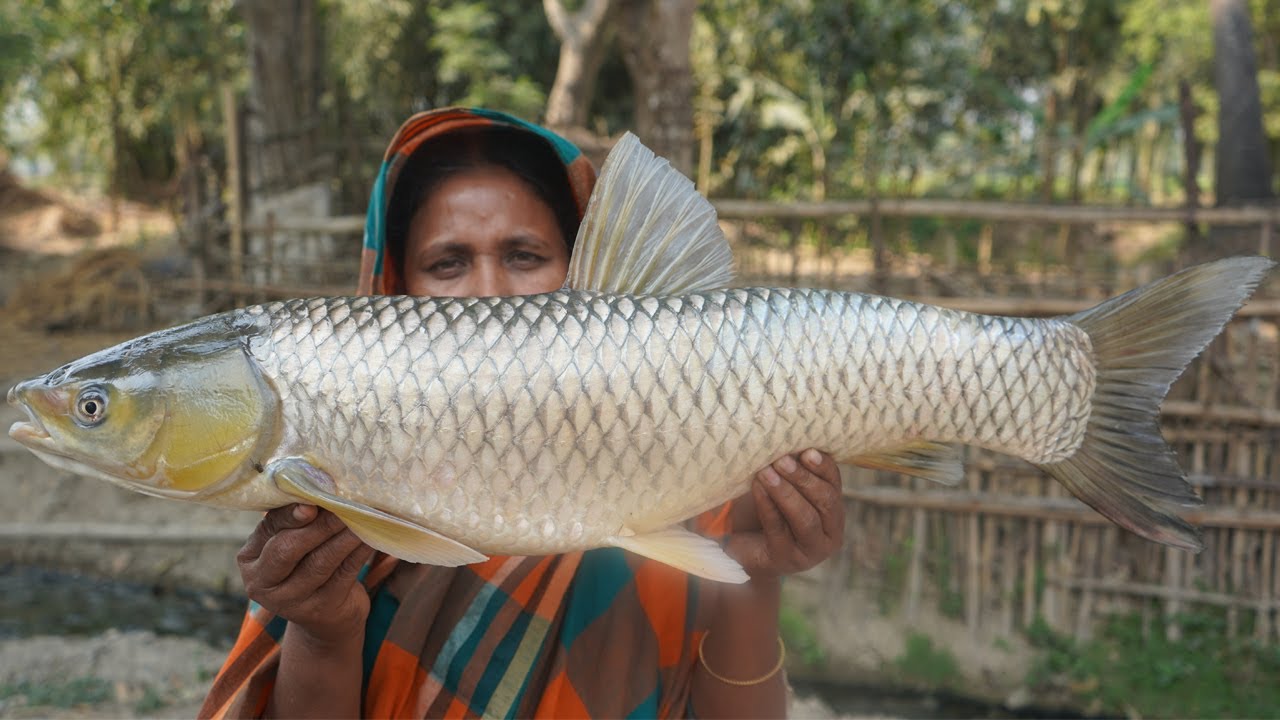 TASTY VILLAGE FOOD Big Grass Carp Fish Recipe In Our Village FRESH NEW ...