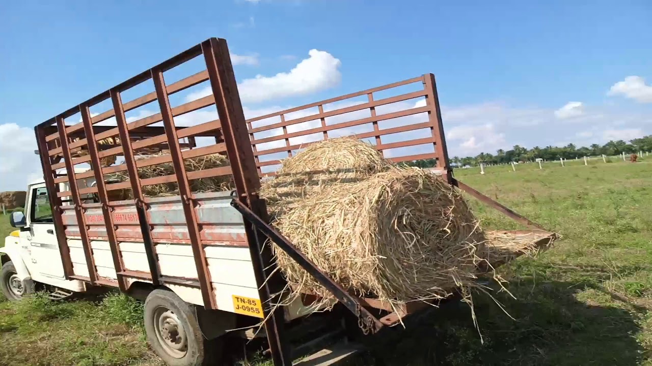 Vaikol is a good time sale call me 8124035411/8667466130 - YouTube