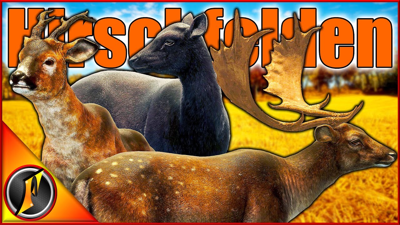 One of the Weirdest, Craziest Hunts We've Had! | theHunter Call of the ...