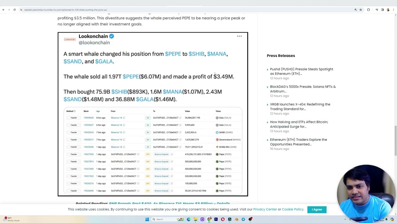 SHIB to the Moon?! Shiba Inu Coin Latest News and Updates | shiba inu ...