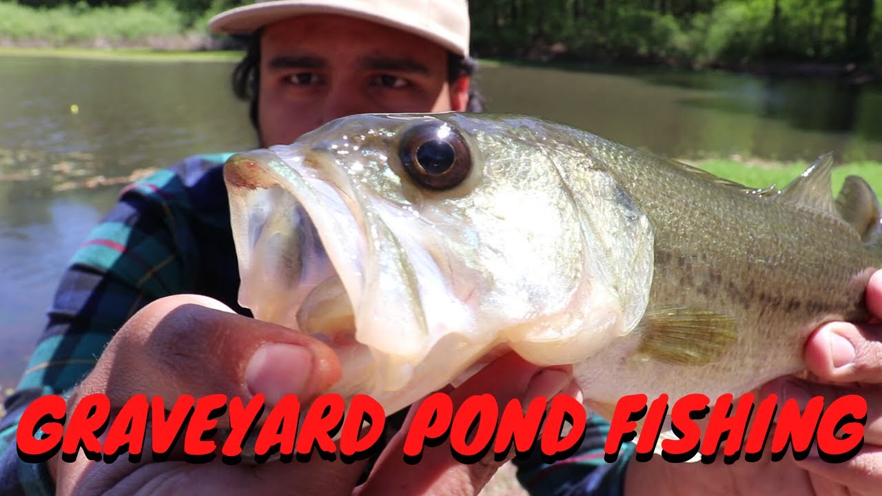 Fishing a GRAVEYARD POND!!! - YouTube