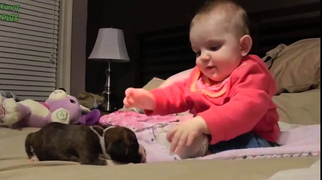 Puppies and Babies Playing Together Compilation 2014 [NEW HD] - YouTube