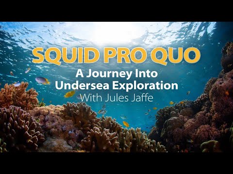 Squid Pro Quo - A Journey Into Undersea Exploration - YouTube