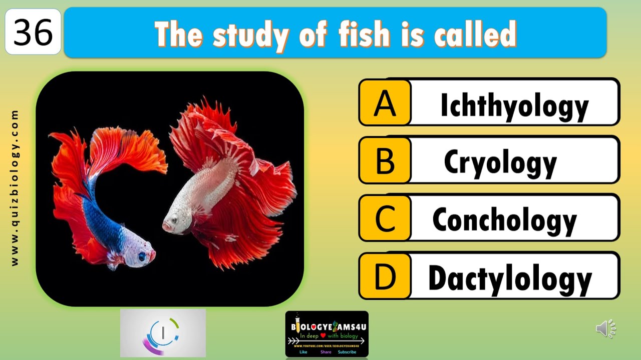 40 Branches of Science Quiz | Science Trivia Quiz | How many branches ...