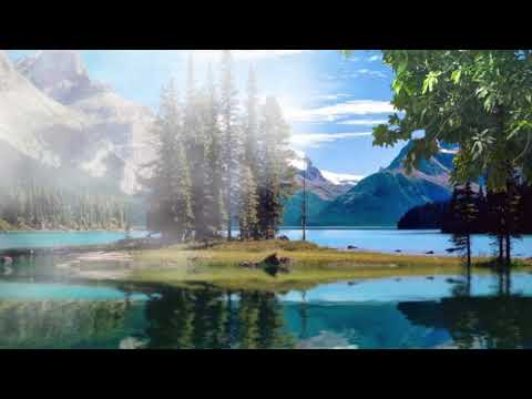 Beautiful and Calm Piano Music | Relaxing and Soothing Music with Birds ...