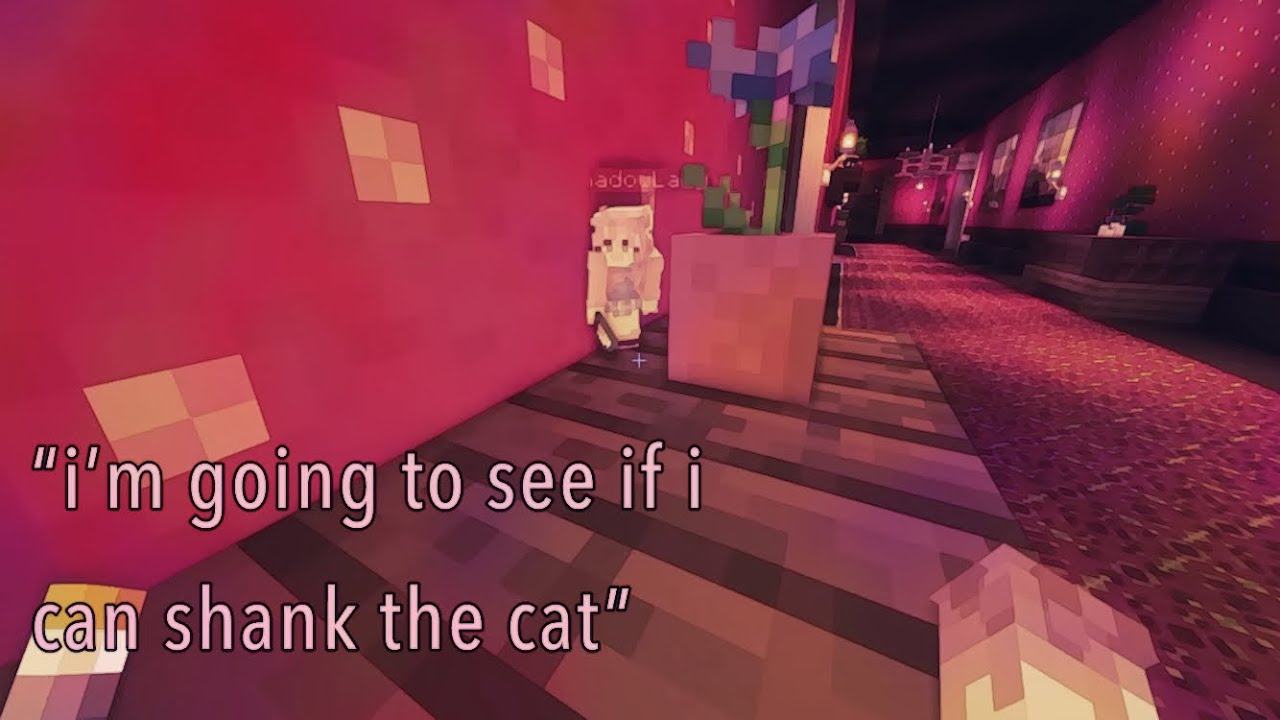 Best LDShadowLady rats smp moments - YouTube