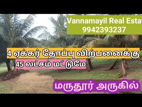#12- 4 ஏக்கர் தோப்பு |4 Acre Coconut Farm| In Maruthur | Near to ...