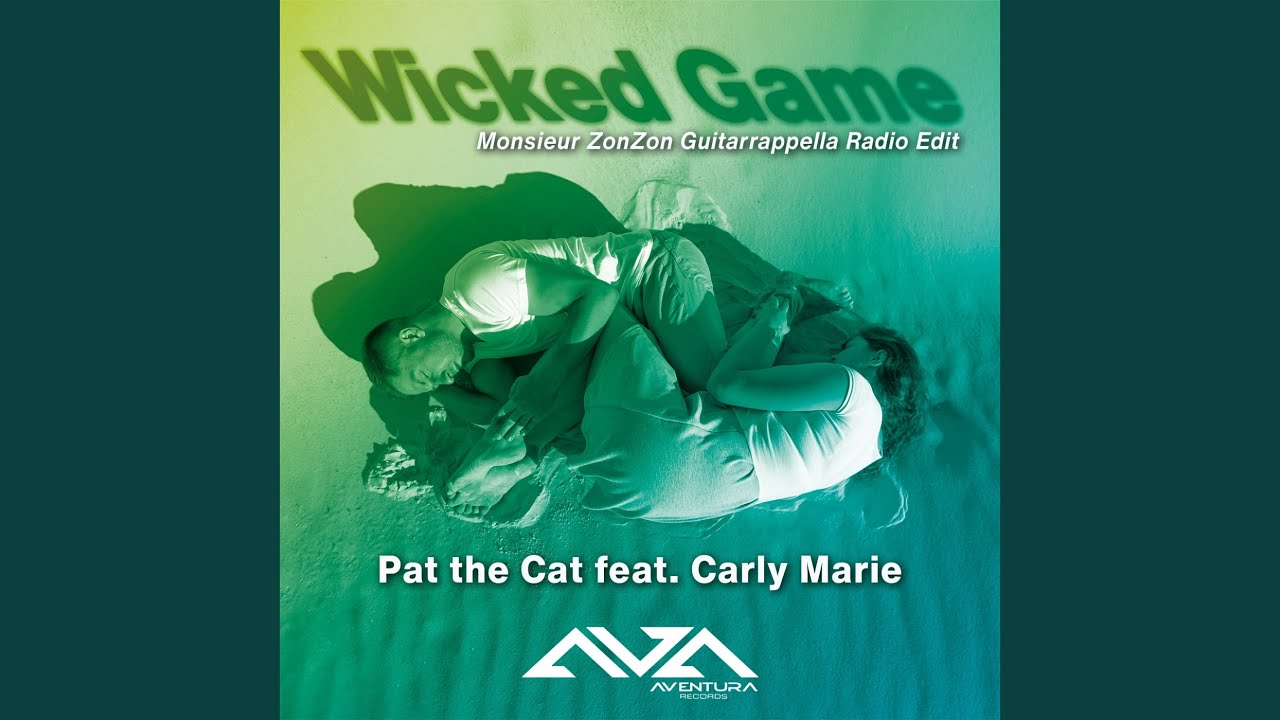 Wicked Game (Monsieur ZonZon Guitarrappella Radio Edit) - YouTube