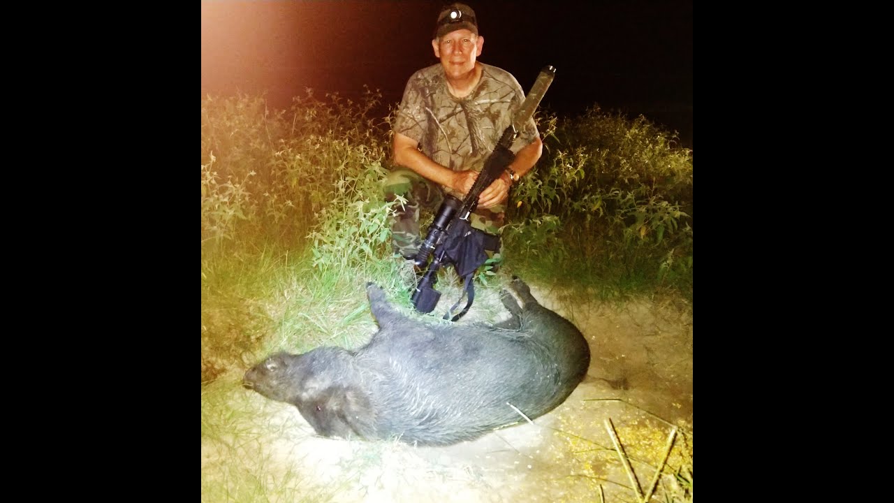 Another Boar Down - YouTube