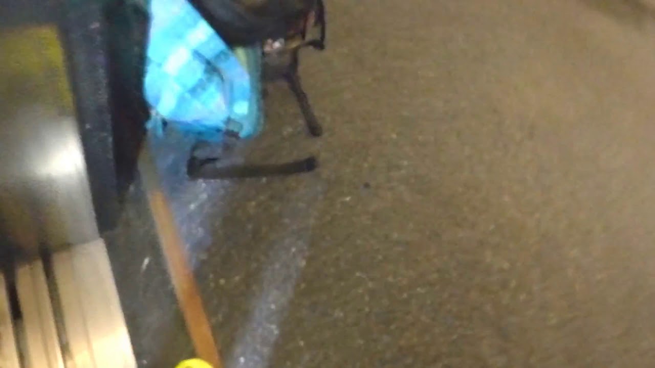 Caught Lift Surfing - YouTube