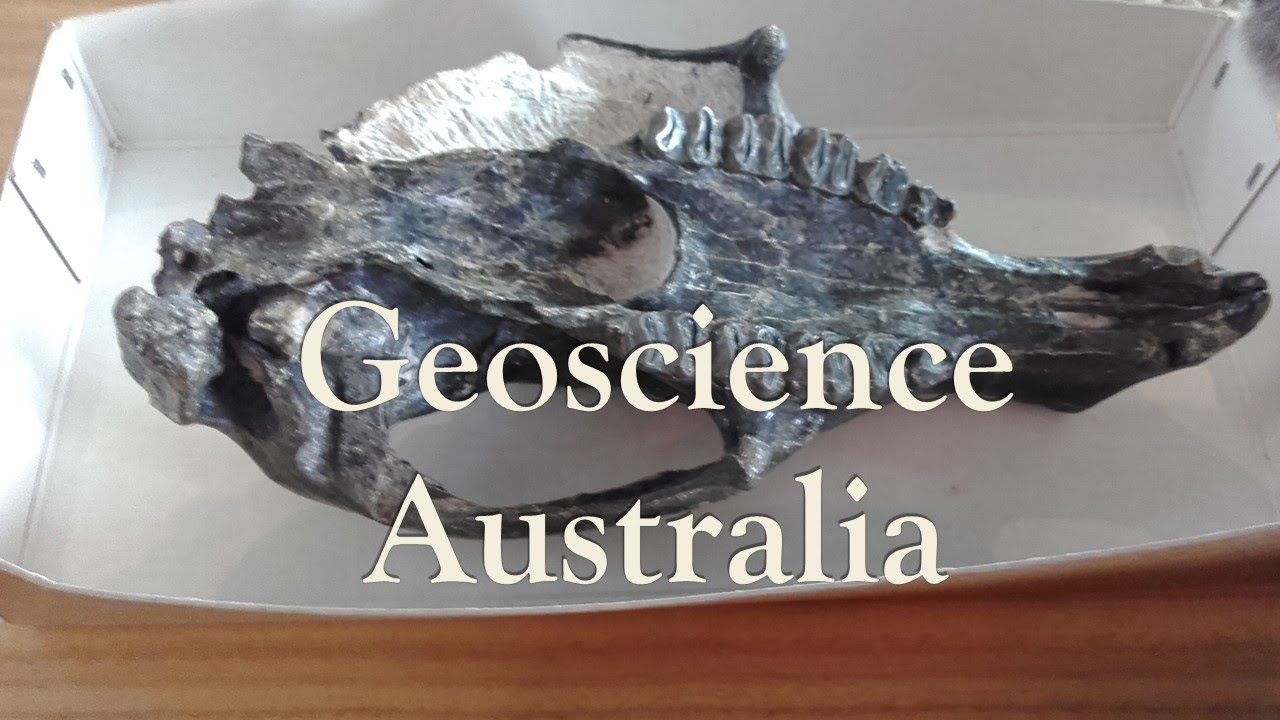 BONE ROOMS visits Geoscience Australia - YouTube