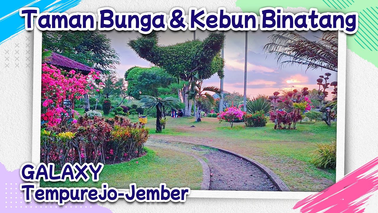 WISATA GALAXY TEMPUREJO JEMBER | TAMAN BUNGA DAN KEBUN BINATANG GALAXY ...